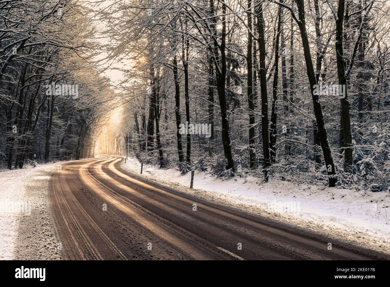 A long road in the middle of a snowy forest in winter during the ...