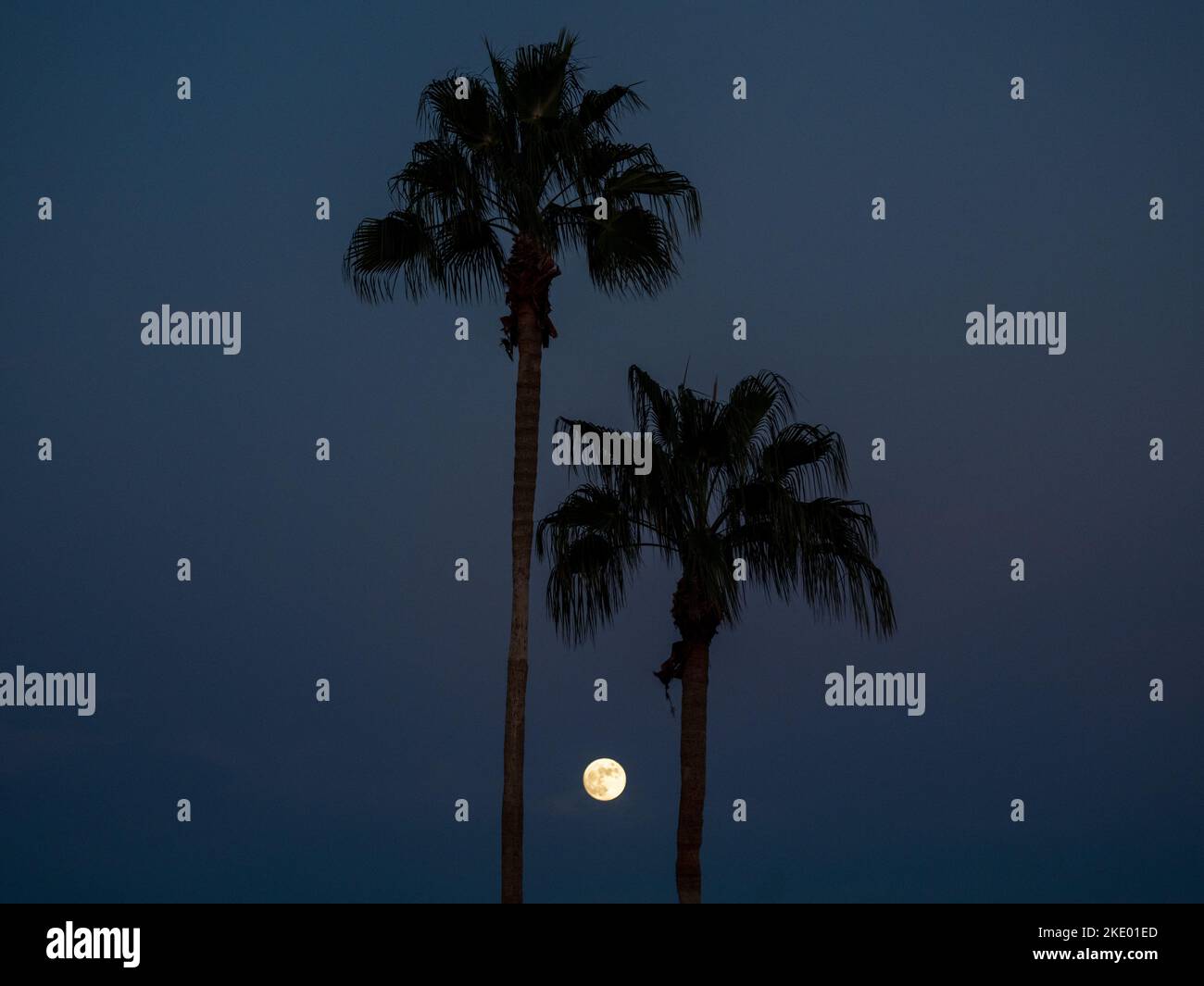 A full moon glows with a yellow tint as it rises above Phoenix Arizona ...