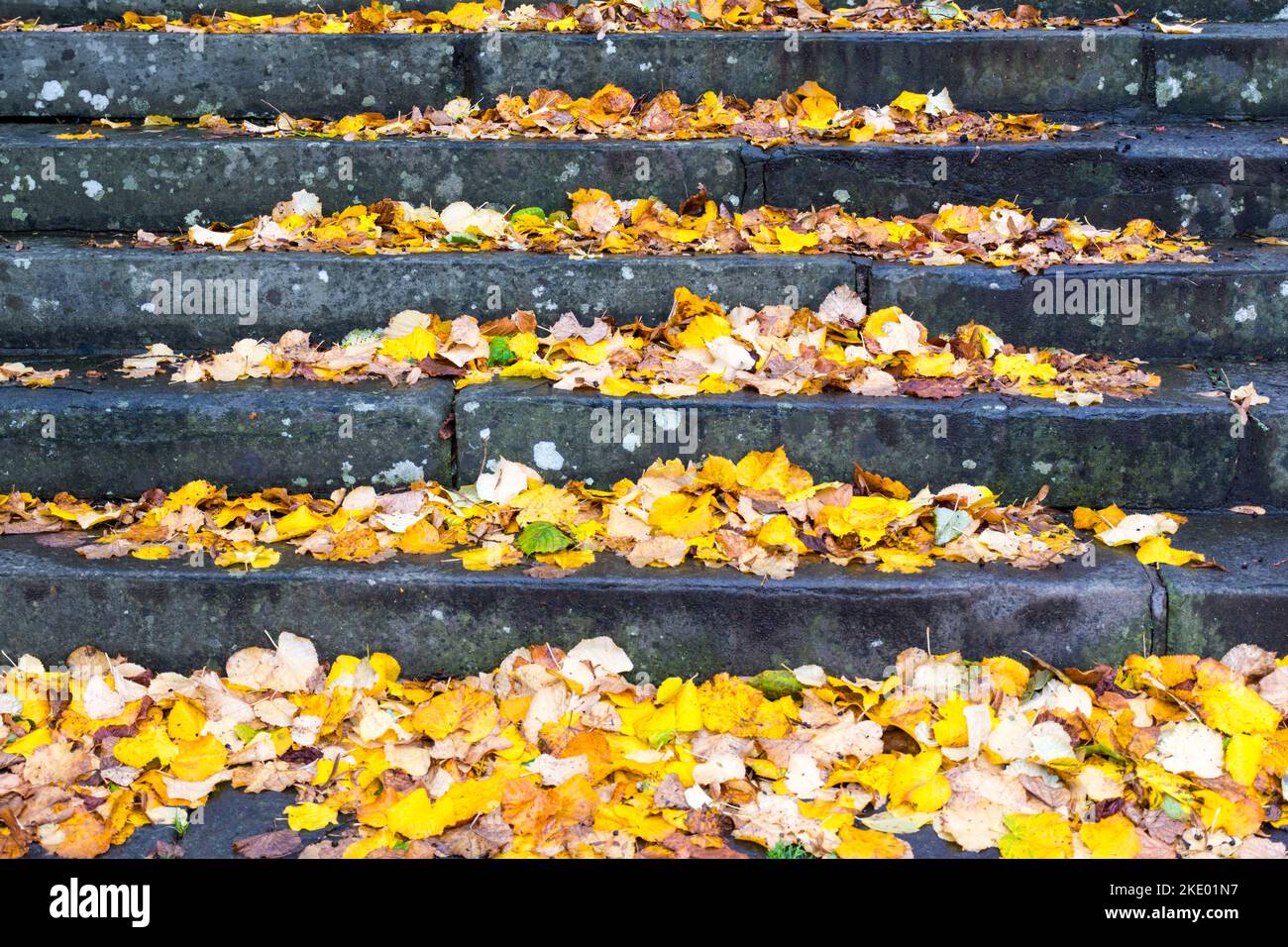 Autumn leaves on stone steps Stock Photo - Alamy