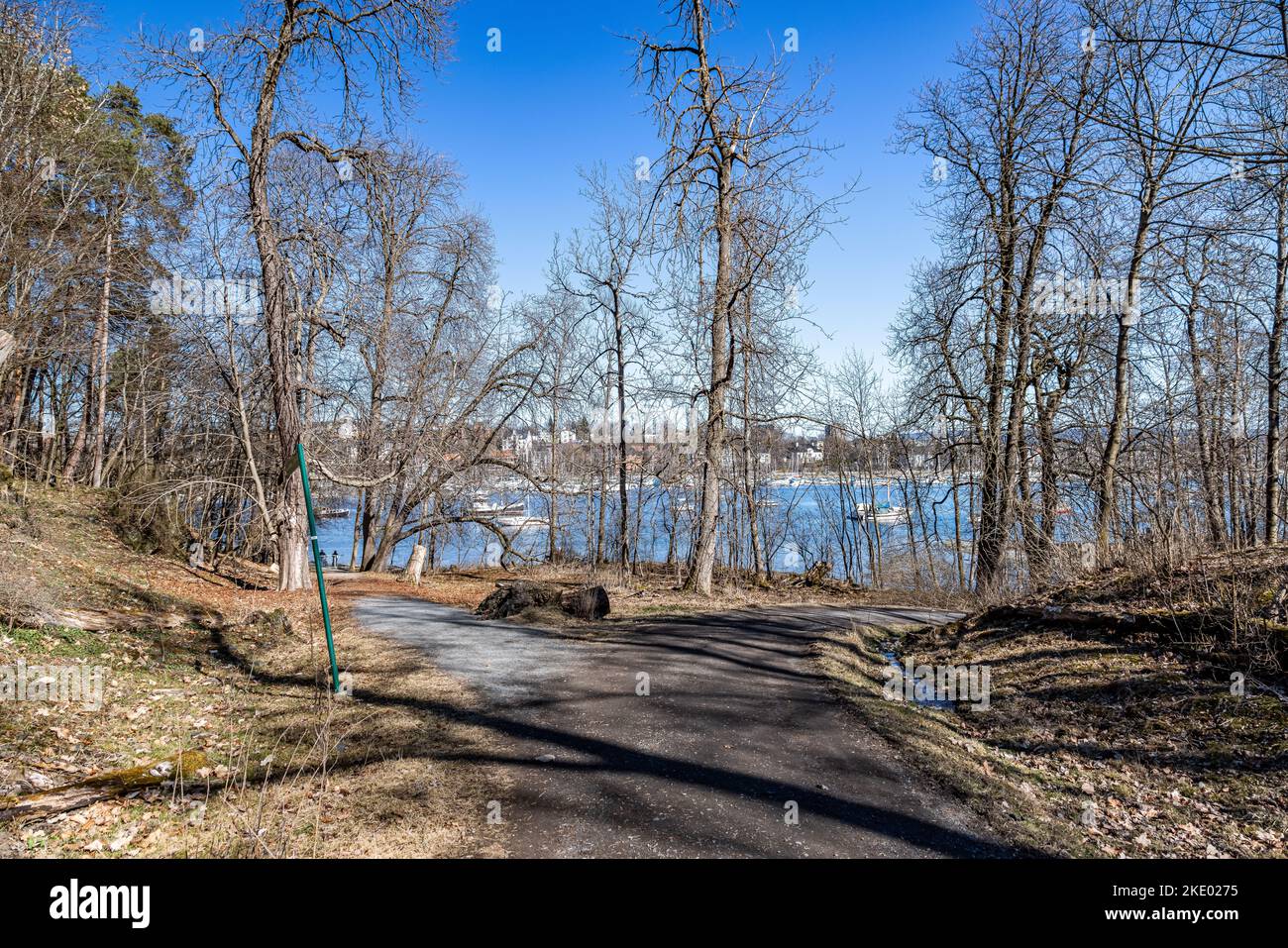 A pathway in the forest leading to the shore Stock Photo - Alamy