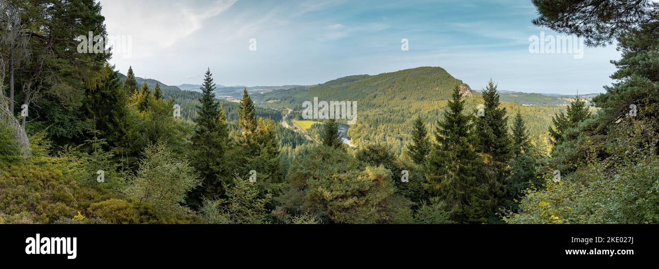 Fir trees in scotland hi-res stock photography and images - Alamy