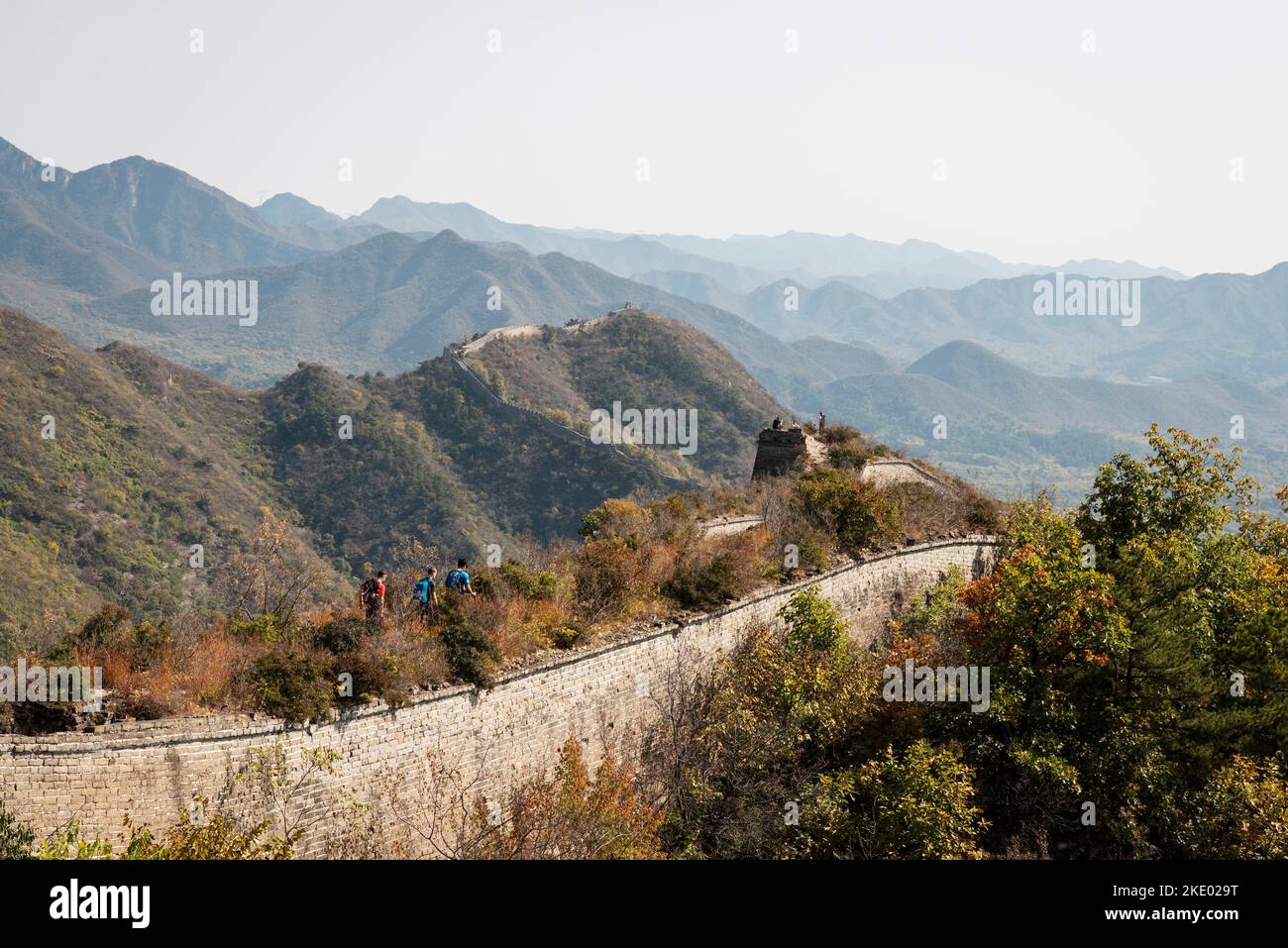 An aerial view of the Great Wall in a beautiful forest in China Stock ...