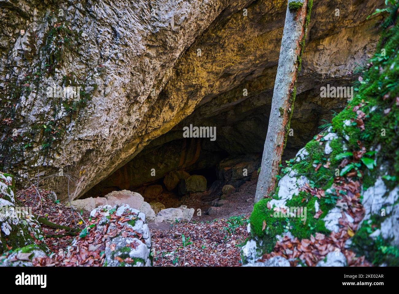 Cave entrance with an underground river in it's depth Stock Photo - Alamy