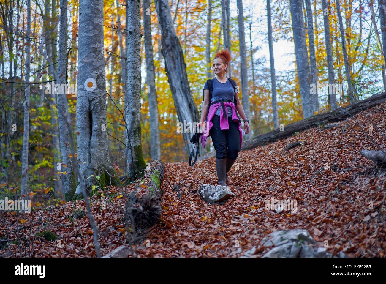 Woman nature photographer hiking with her backpack in the mountains ...
