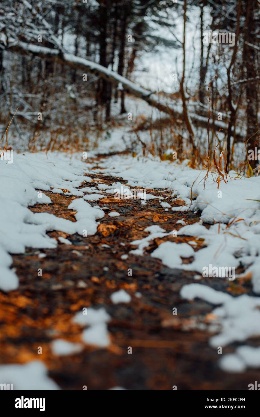 A vertical closeup of a muddy snow covered path in the middle of a ...