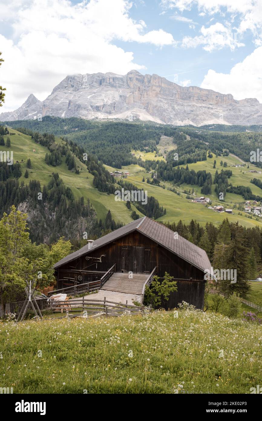 A wooden house with a staircase in a fir tree landscape and high hills ...