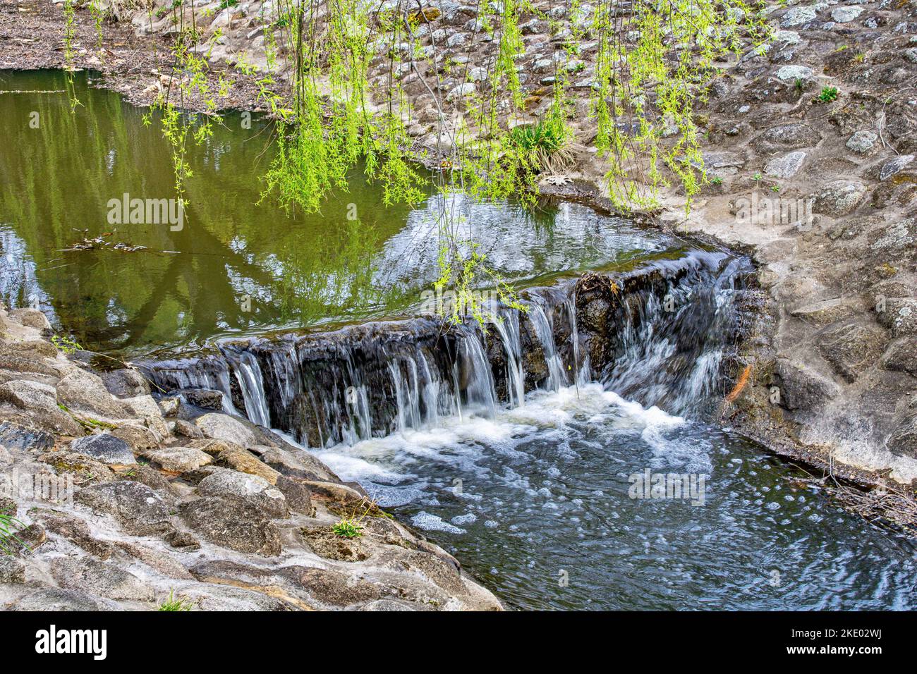 A beautiful shot of stream of flowing water in Park in Glen Innes in ...