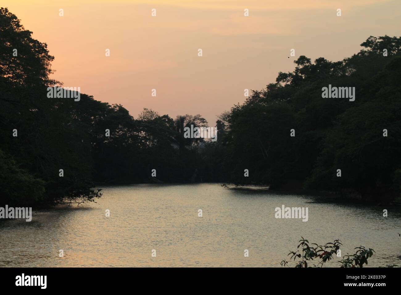 A sunset scene of orange sky over trees around the lake water Stock ...