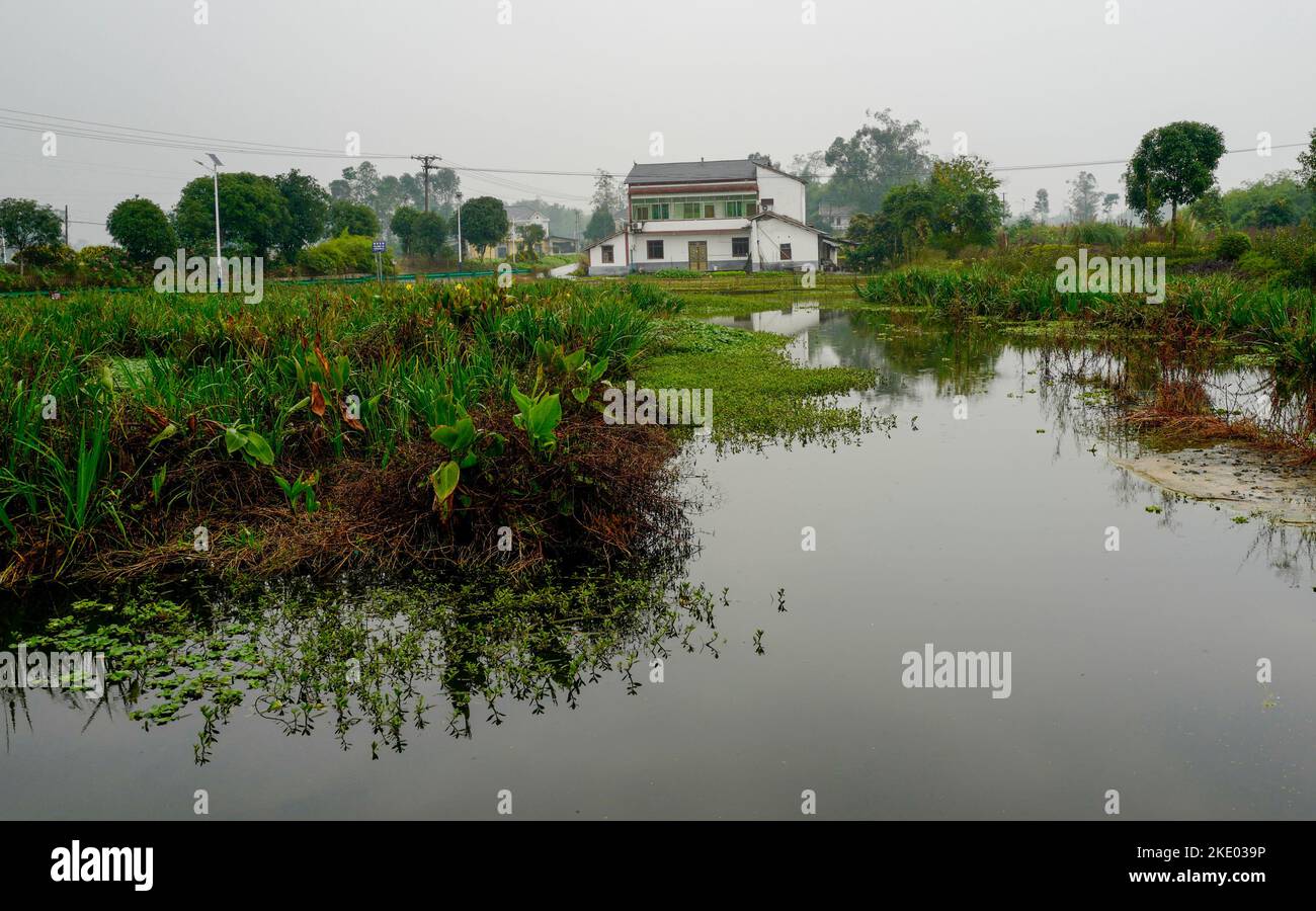 (221109) -- CHONGQING, Nov. 9, 2022 (Xinhua) -- This photo taken on Nov ...