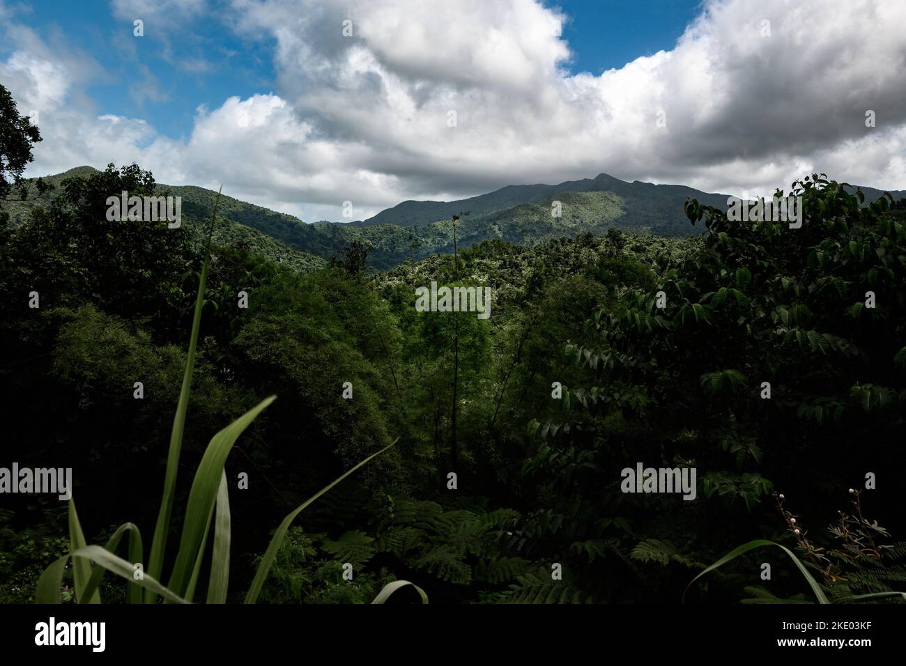 The lush El Yunque National Forest with high hills and floating clouds ...