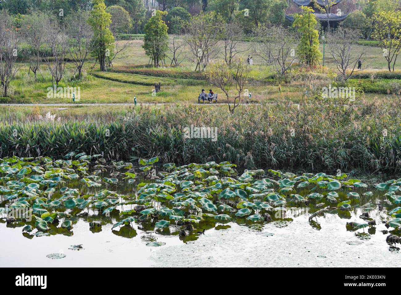 (221109) -- CHONGQING, Nov. 9, 2022 (Xinhua) -- People visit the ...