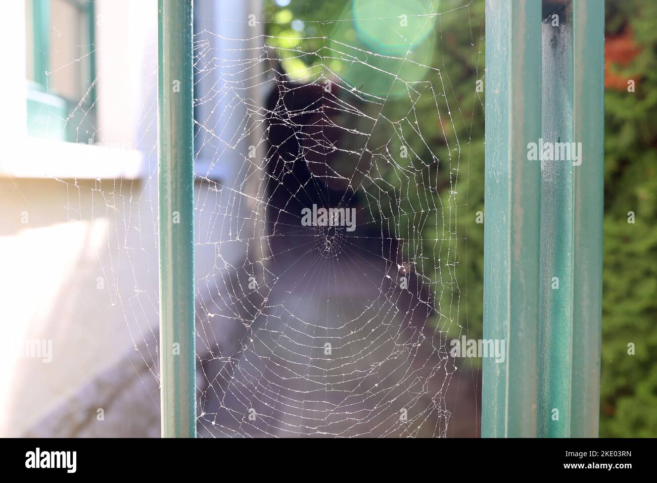 A web of cobwebs in the doorway Stock Photo - Alamy
