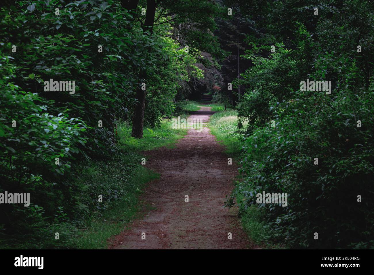 The Arboretum of the Warsaw University of Life Sciences botanical ...
