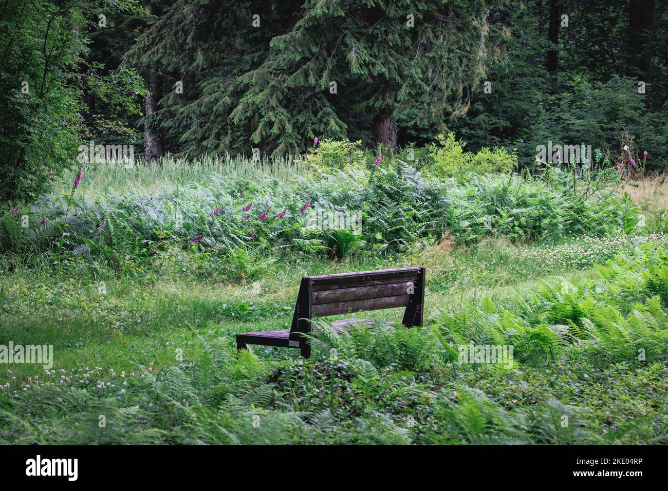The Arboretum of the Warsaw University of Life Sciences botanical ...