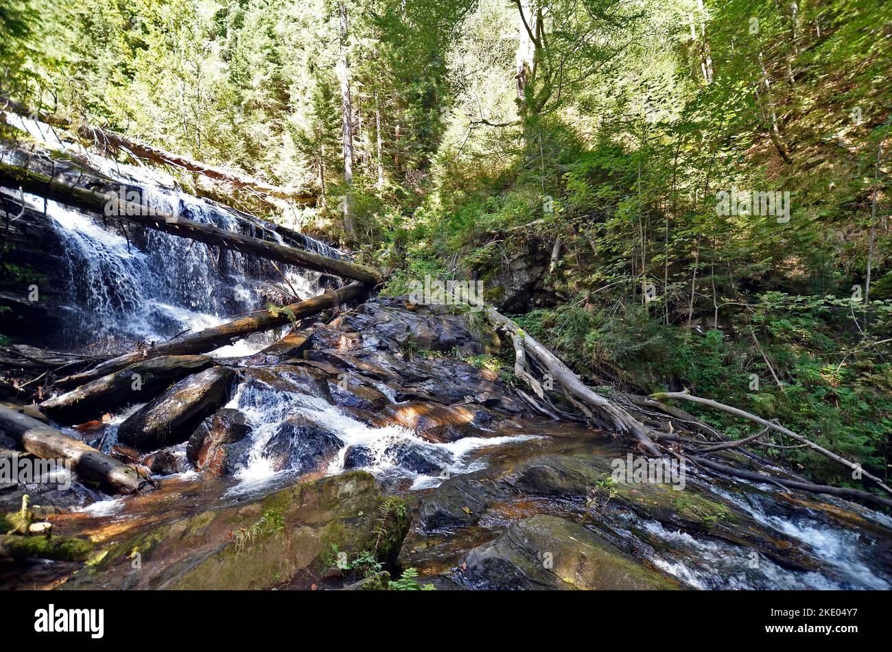 Austria, natural waterfall of Weisse Sulm river in western Styria, part ...