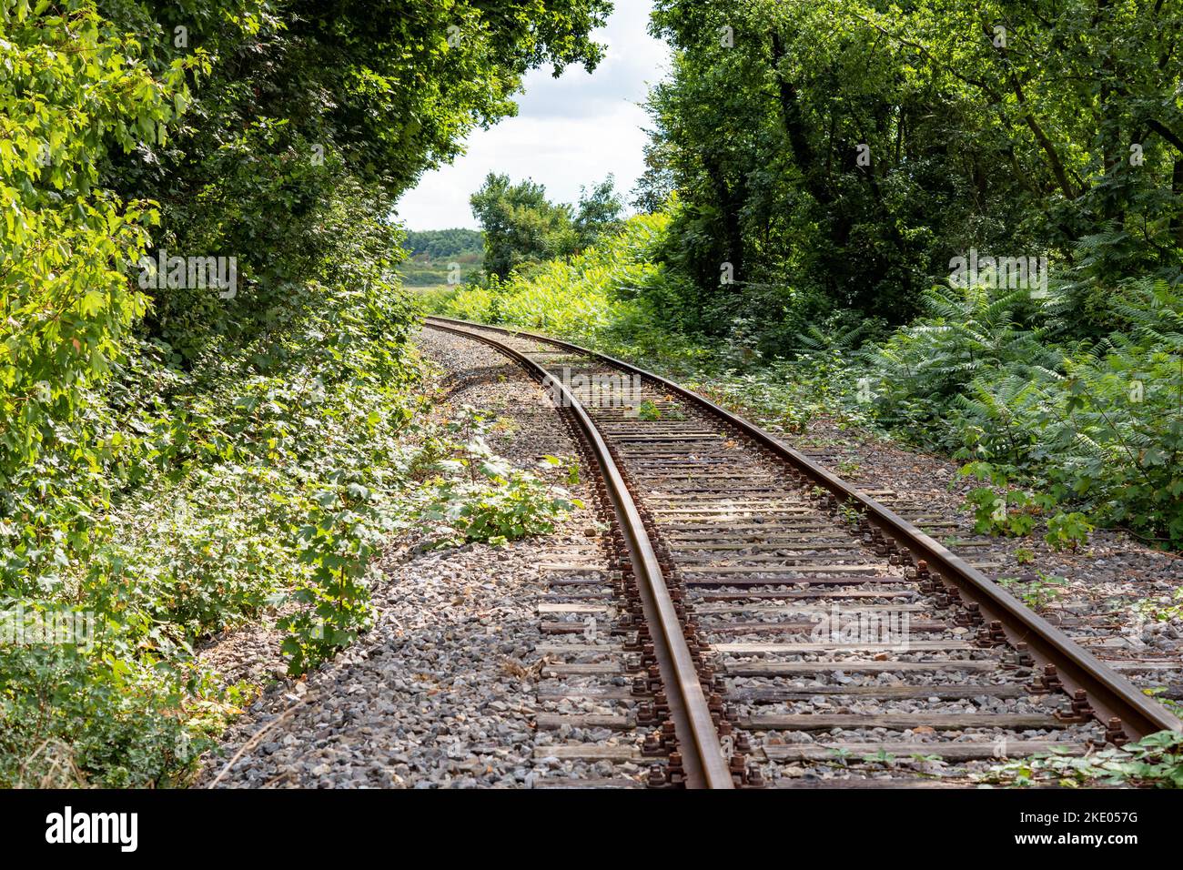 A railway track between greenery Stock Photo - Alamy