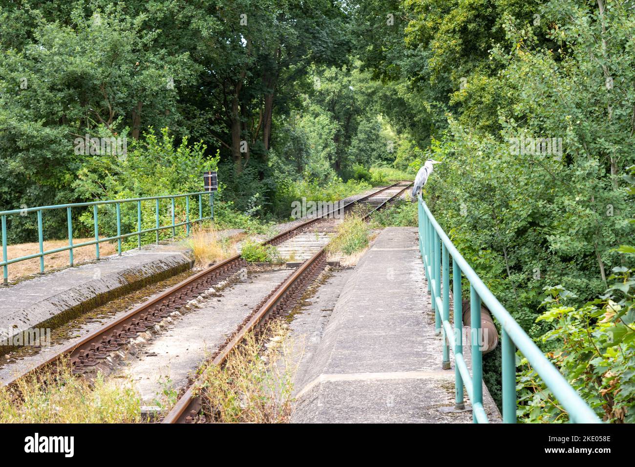 A railway track between two fences and vegetation Stock Photo - Alamy