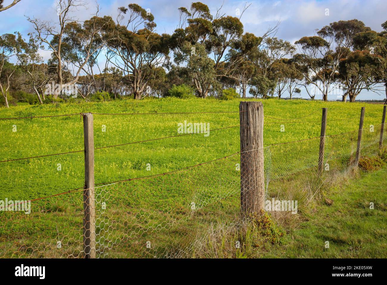 A beautiful view of a meadow with a wire fence Stock Photo - Alamy