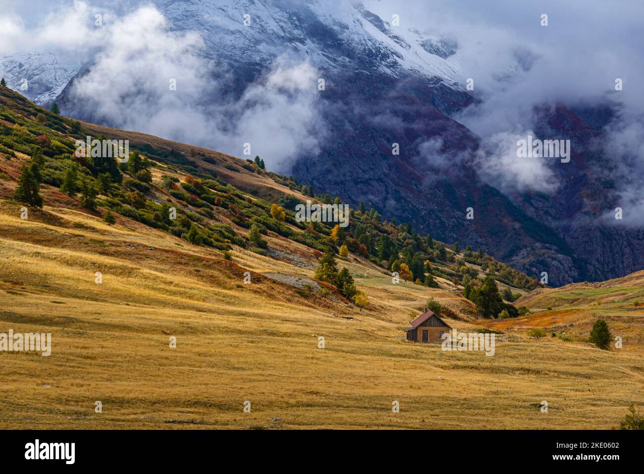 Autumn colours in Ecrins National Park, the Alps, Briancon, France, EU ...