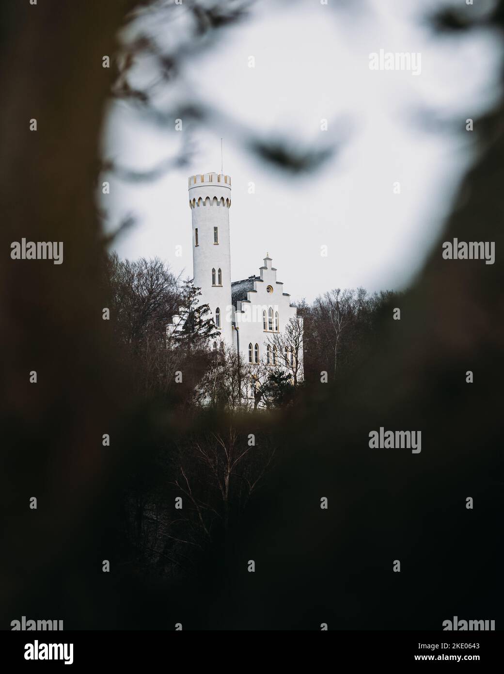 Lichtenstein castle in vertical hi-res stock photography and images - Alamy