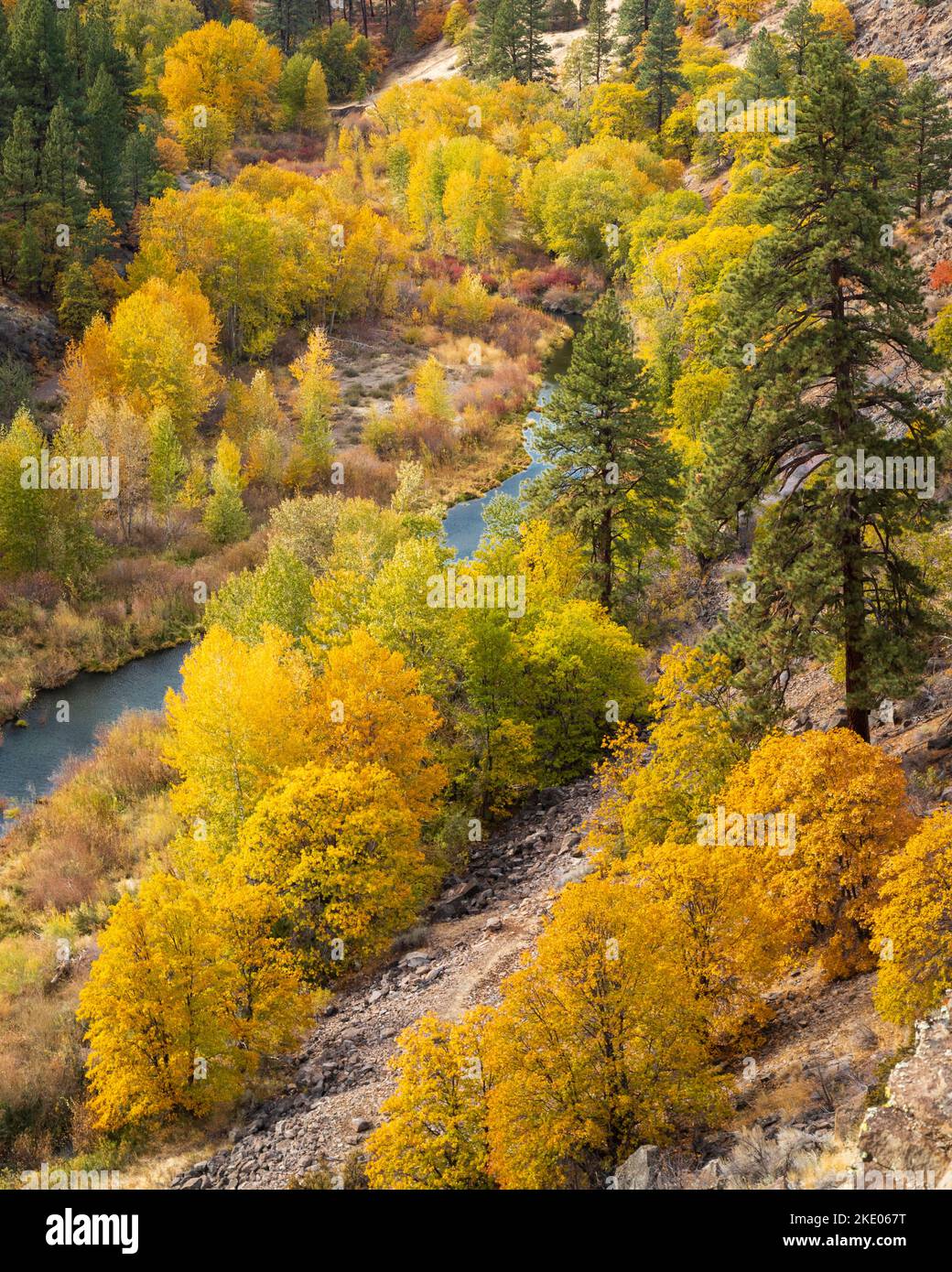 Susan River Canyon photographed during autumn from Pigeon Cliff west of ...