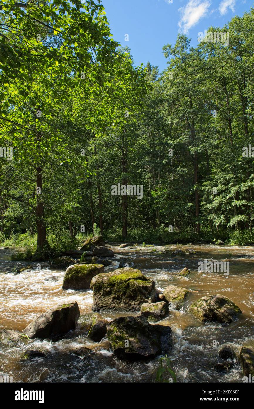 Rapids of Nukarinkoski with rocks in stream in summer, Nukari ...