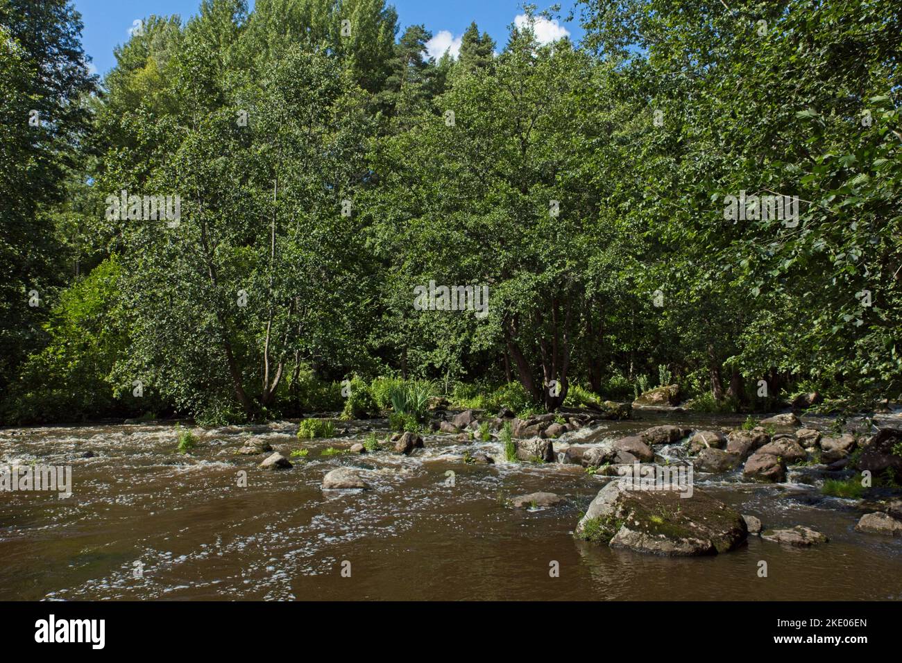 Rapids of Nukarinkoski with rocks in stream in summer, Nukari ...
