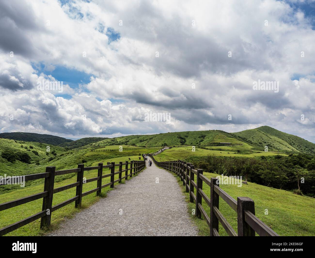 Path surrounded fences green hi-res stock photography and images - Alamy