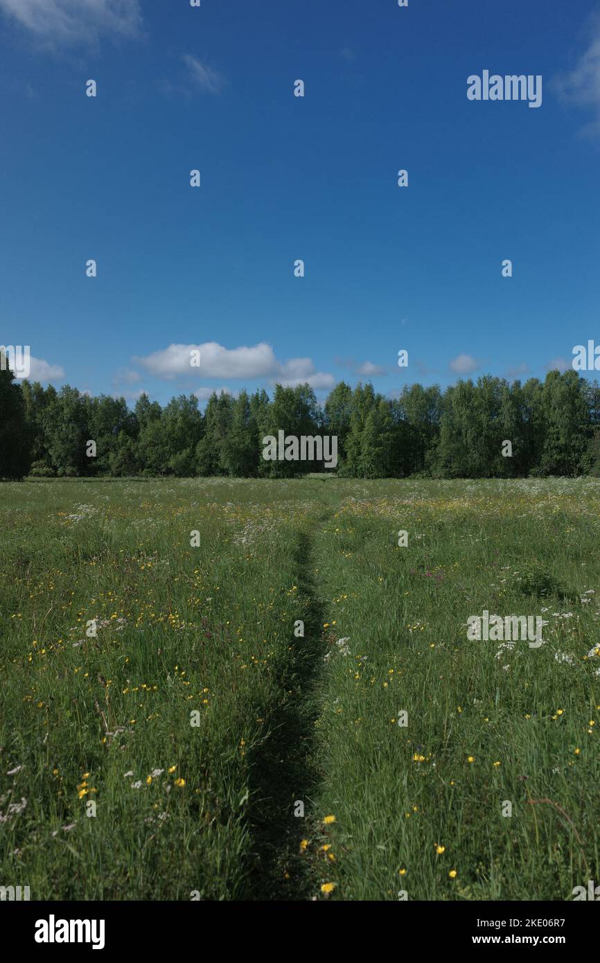 A view of the green field with trees Stock Photo - Alamy