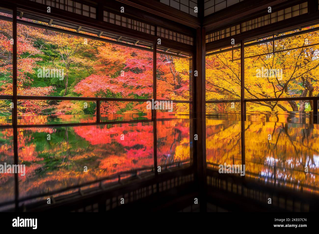 The Beautiful maple trees reflect in a temple in Kyoto, Japan Stock ...