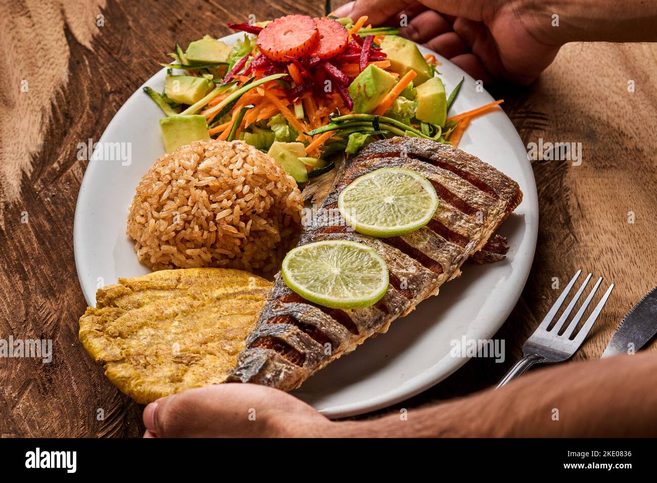 A top view of a person holding a plate with vegetable salad, fried fish ...