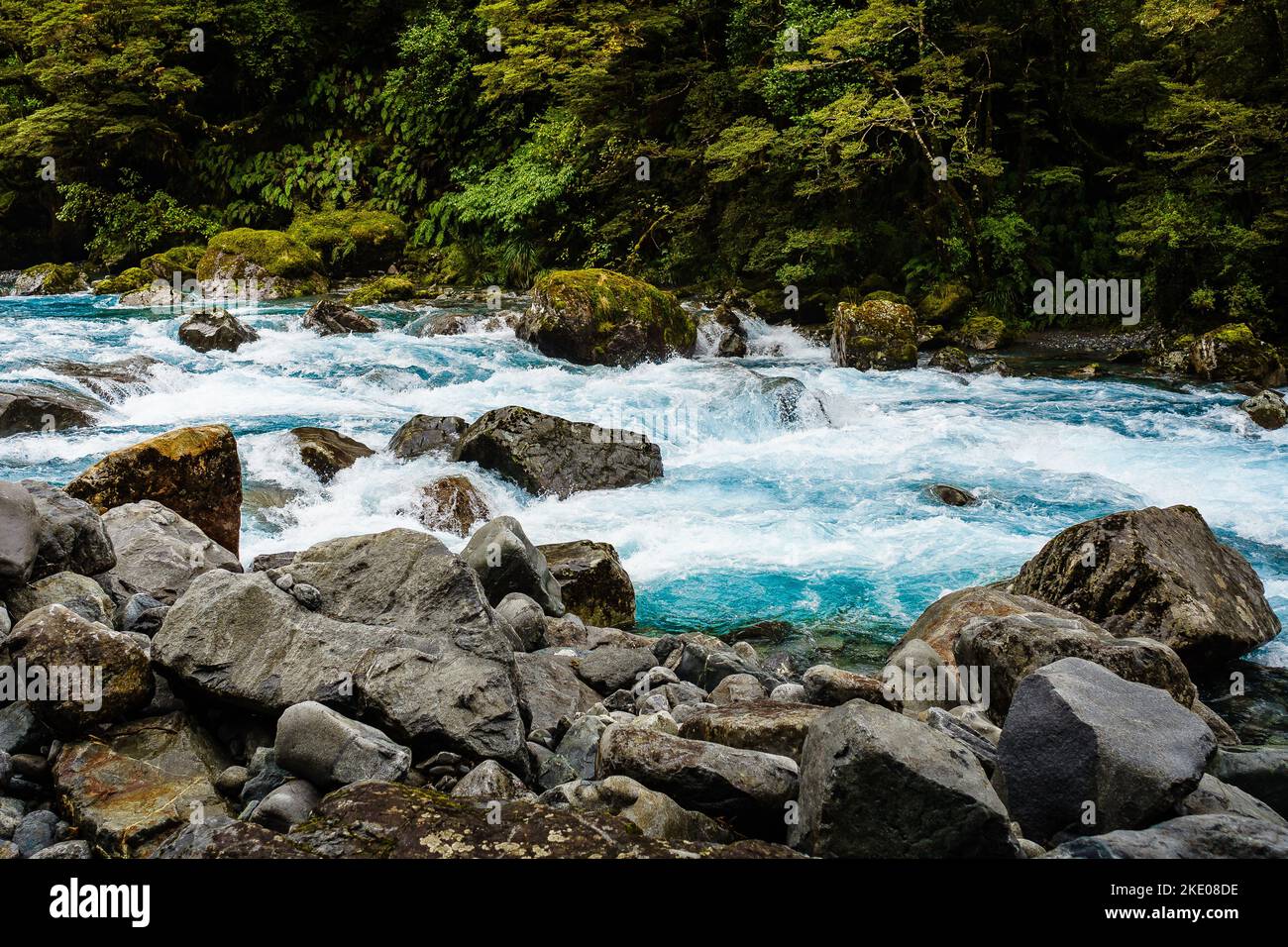 A flowing Chasm river surrounded by trees and moss covered rocks Stock ...