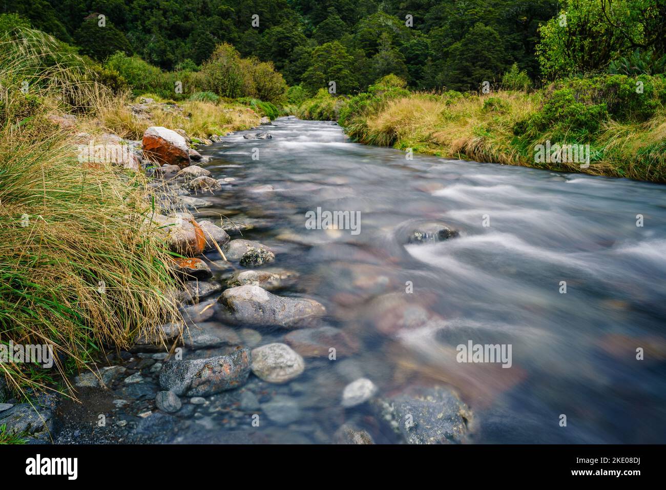 A flowing Chasm river surrounded by greenery mountains with dense trees ...