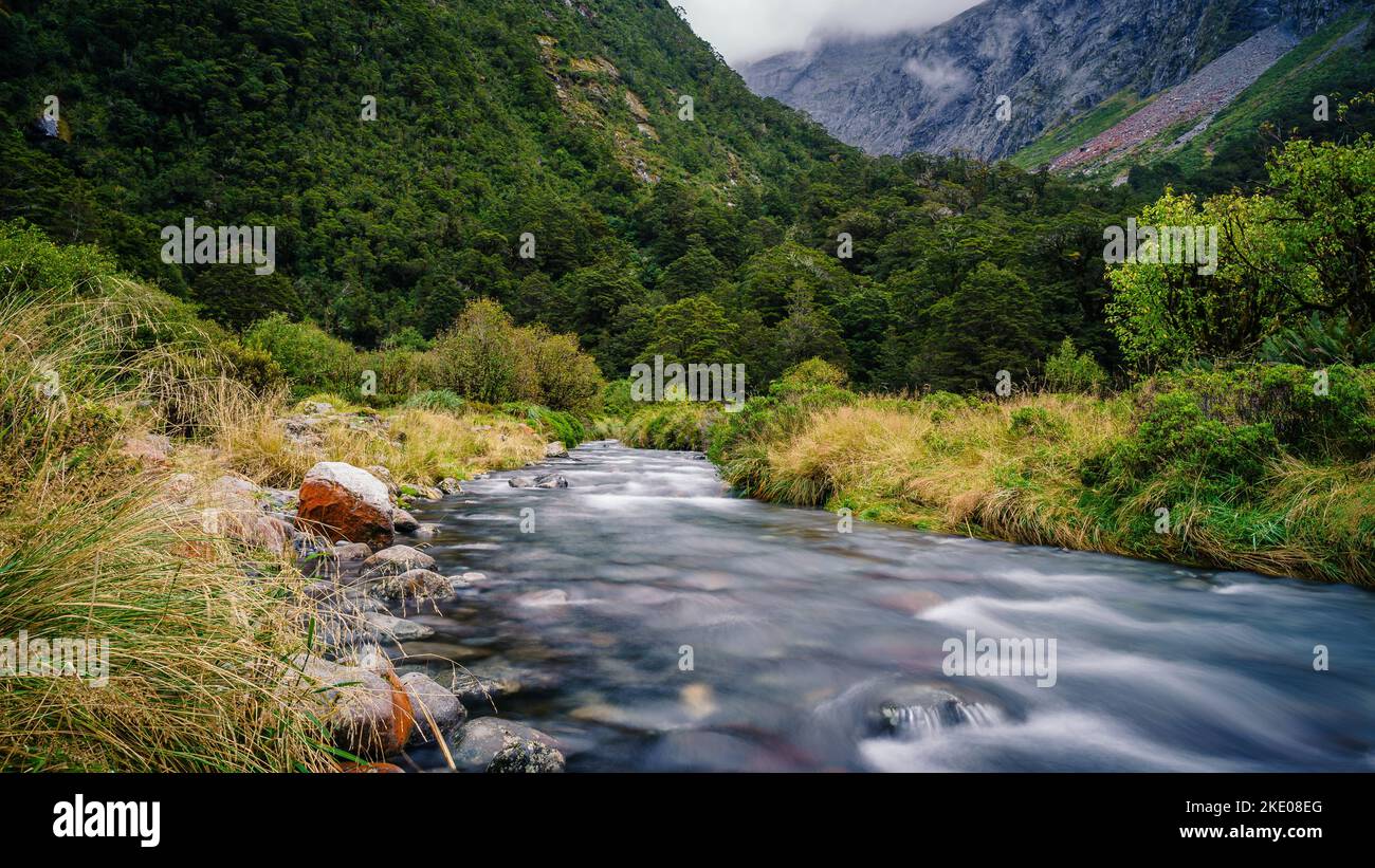 A flowing Chasm river surrounded by greenery mountains with dense trees ...