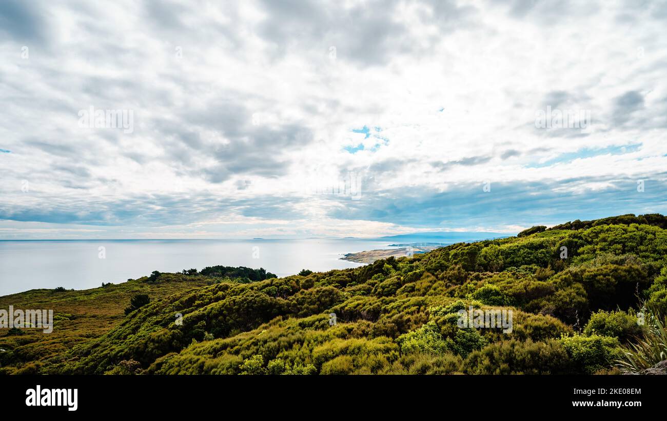 A panoramic view of a green forest against the sea in Invercargill, New ...