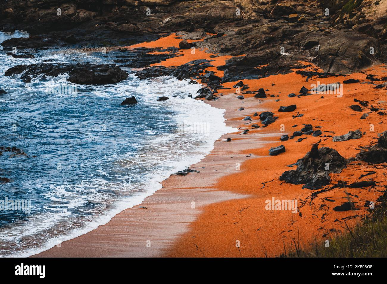 A scenic view of rocky beach against blue sea in Katiki Point, Moeraki ...