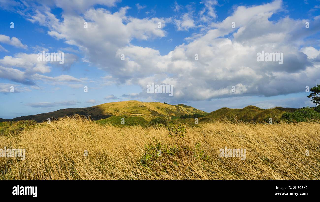 A scenic view of a meadow against green mountains under a cloudy blue ...