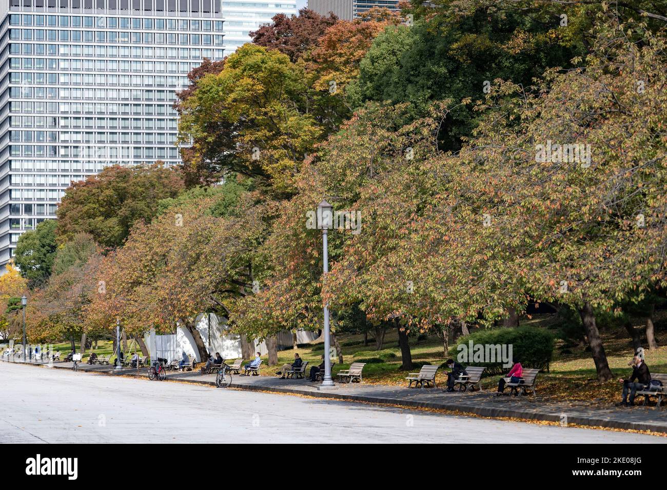 November 9, 2022, Tokyo, Japan: The Palace Hotel Tokyo (ãƒ‘ãƒ¬ã‚¹ãƒ›ãƒ ...