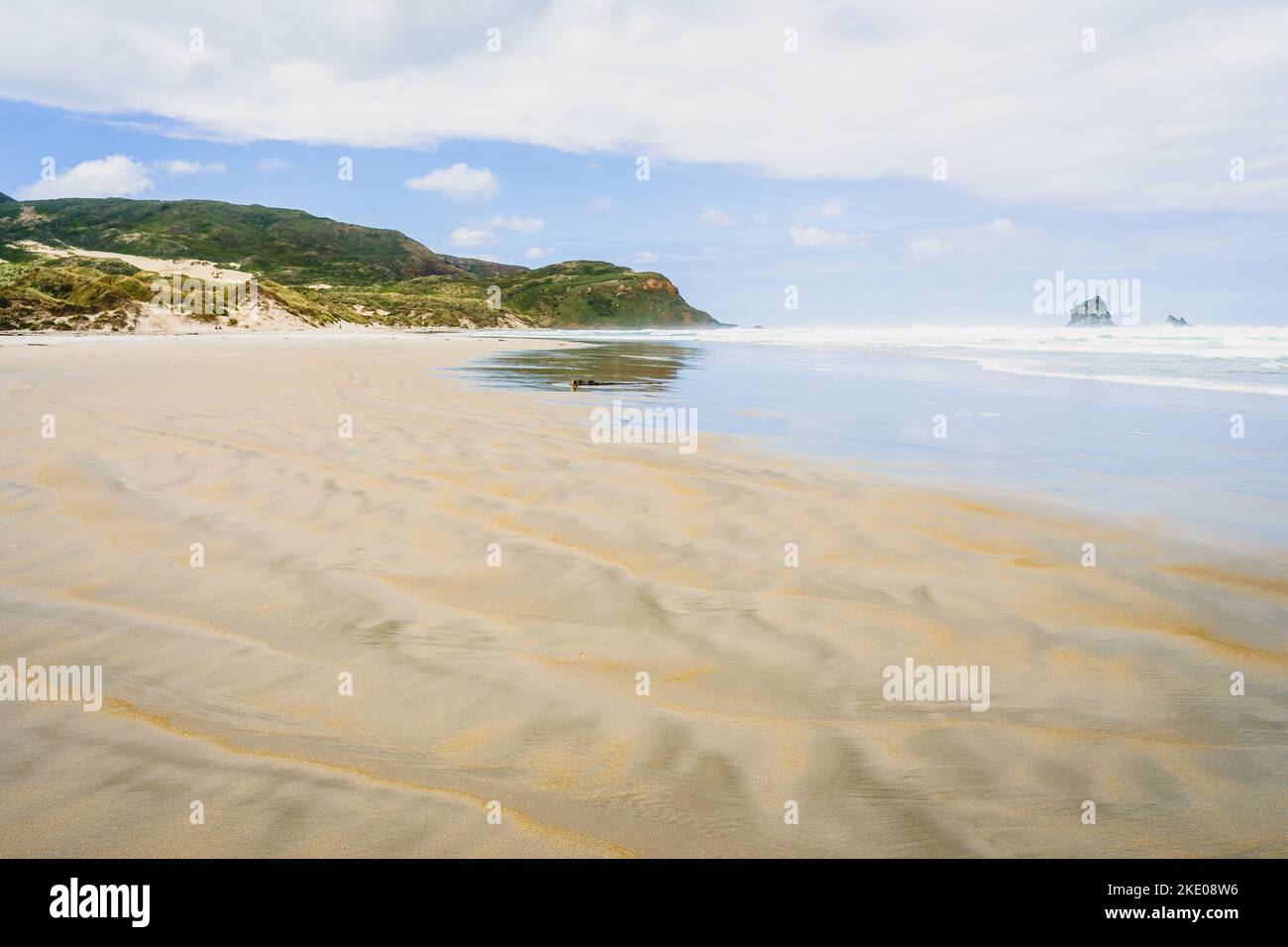 Small dunes on the beach of Sandfly Bay under scattered clouds in ...