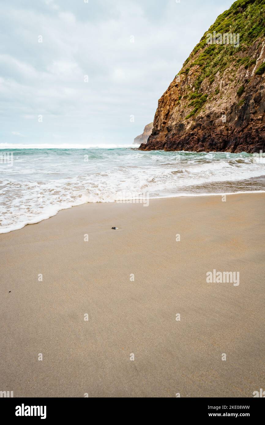 A vertical shot of waves washing the coastline of Sandfly Bay, Dunedin ...