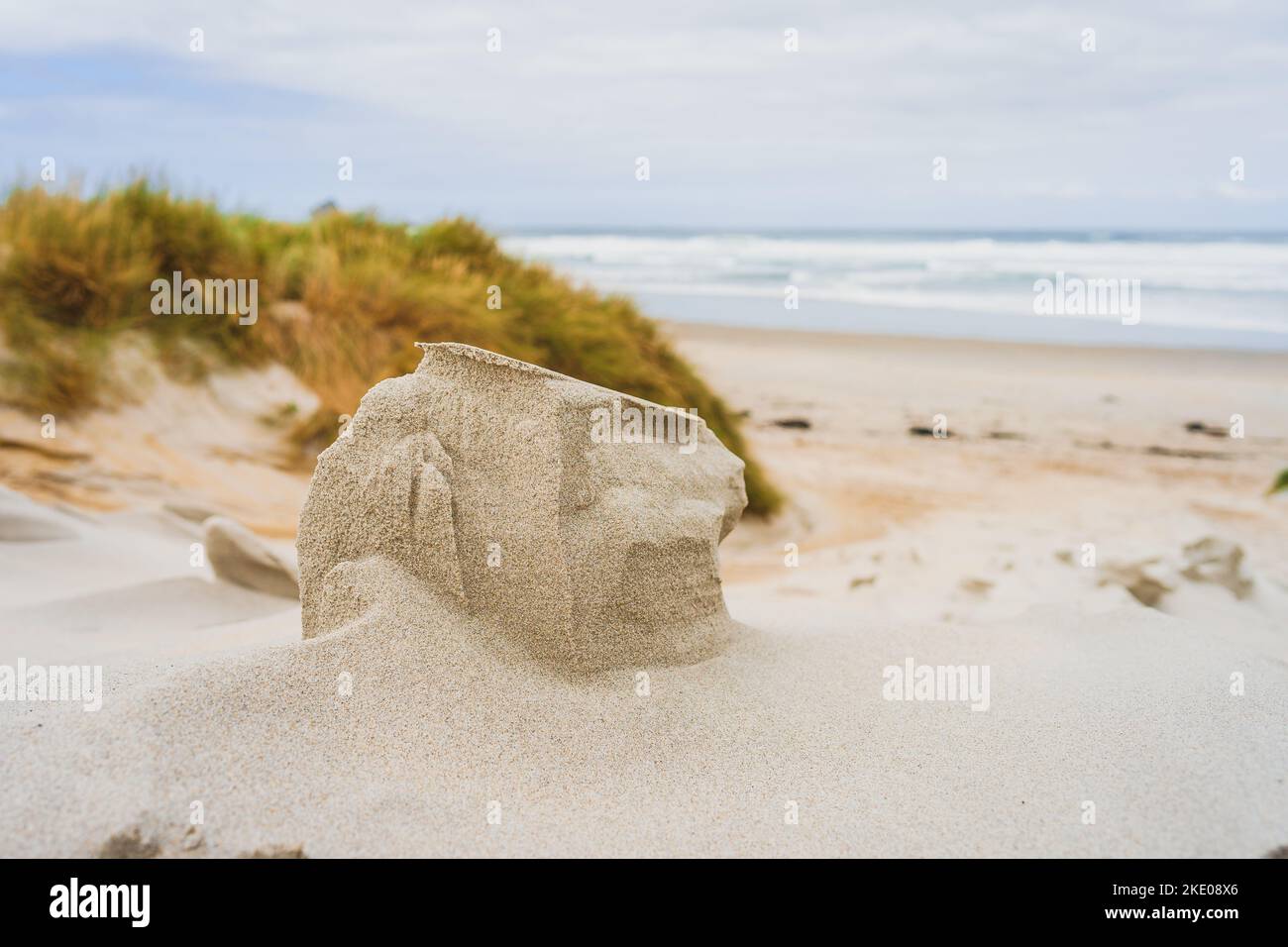 A closeup shot of a frozen sand pile and seaweeds on the coast of ...