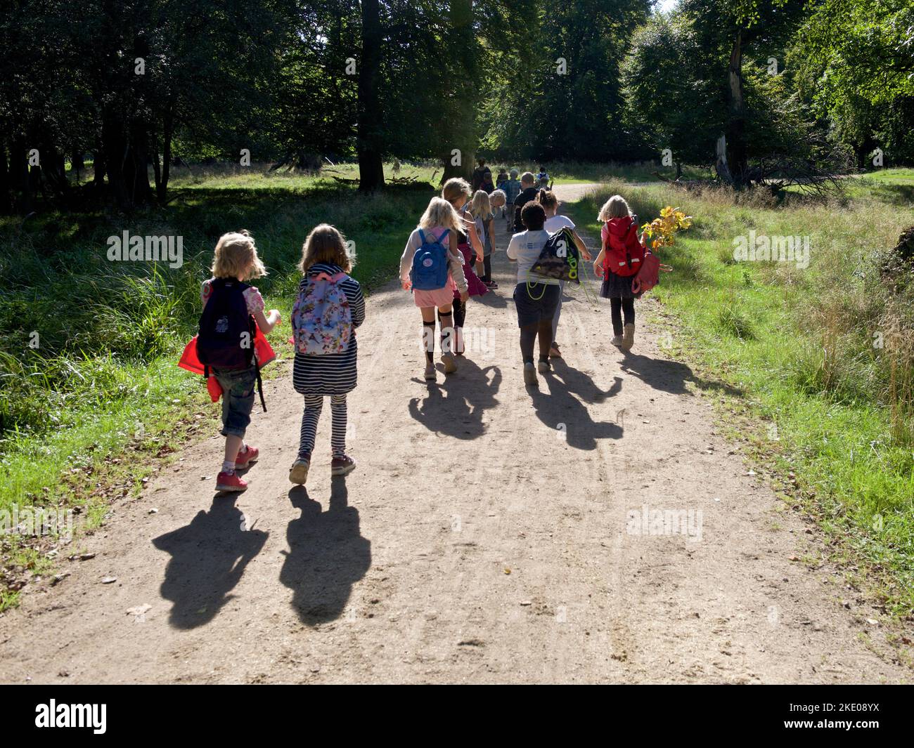 The children walking on a trail in nature on a school excursion during ...