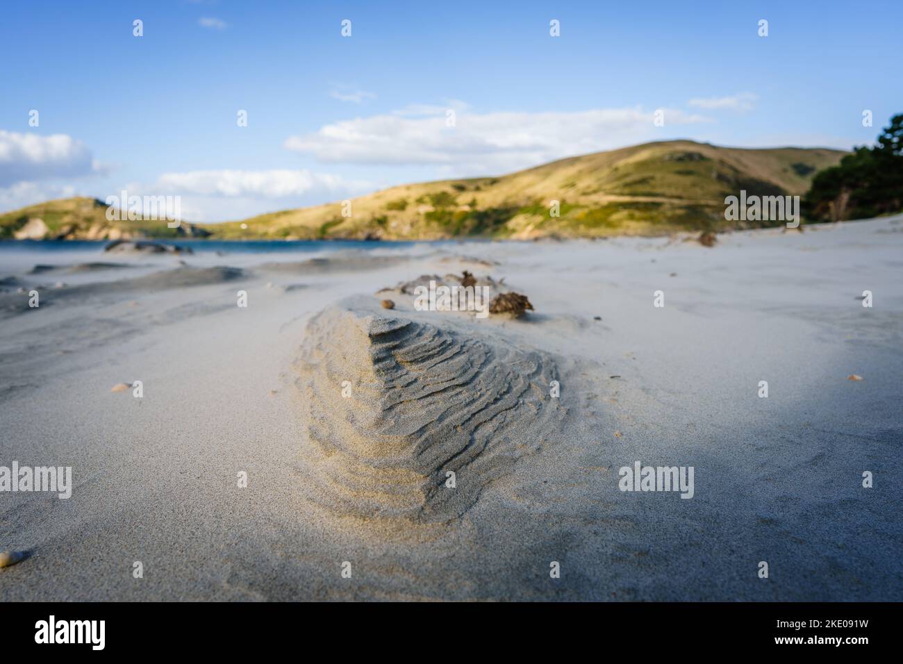 A closeup shot of a small dune formed on the sandy beach in Dunedin ...