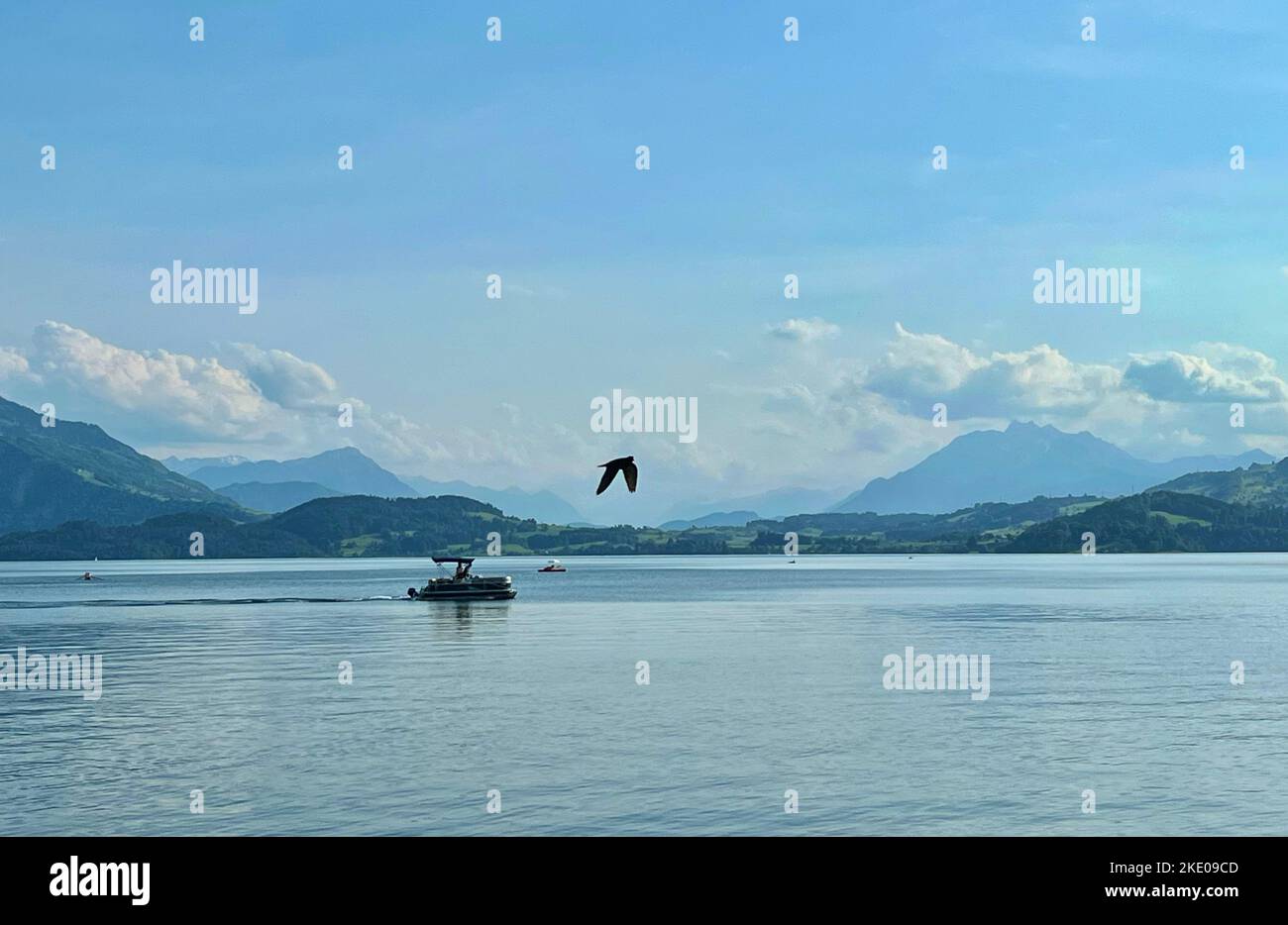 A scenic view of a bird flying over a boat sailing in a lake against ...