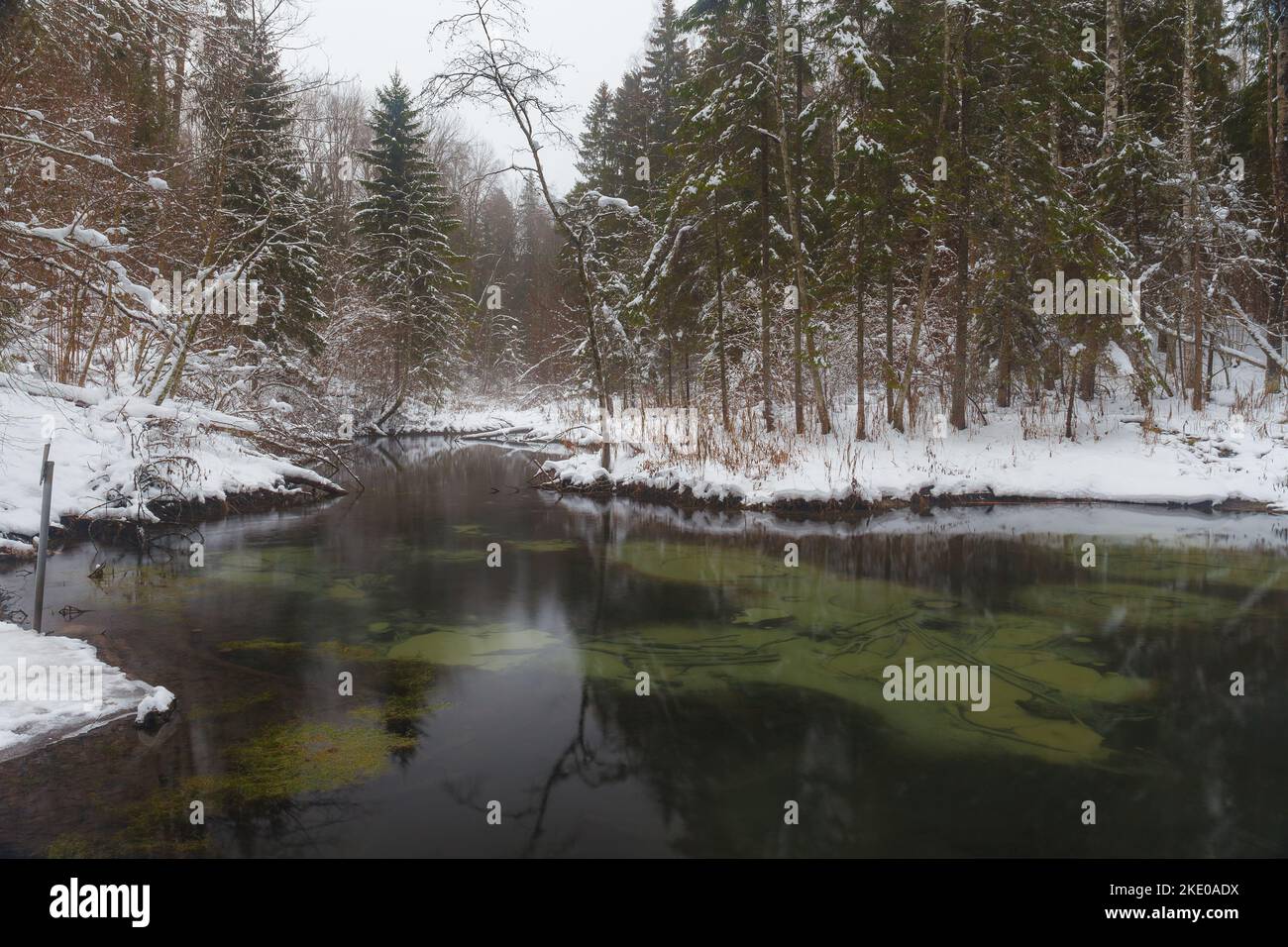 Saula blue springs siniallikad hi-res stock photography and images - Alamy