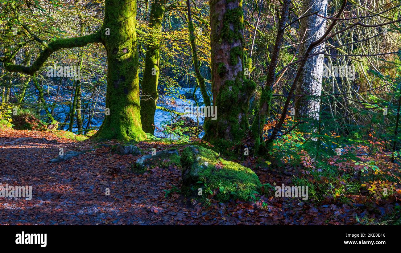 Autumn in the county of Perth & Kinross, Scotland, UK Stock Photo - Alamy