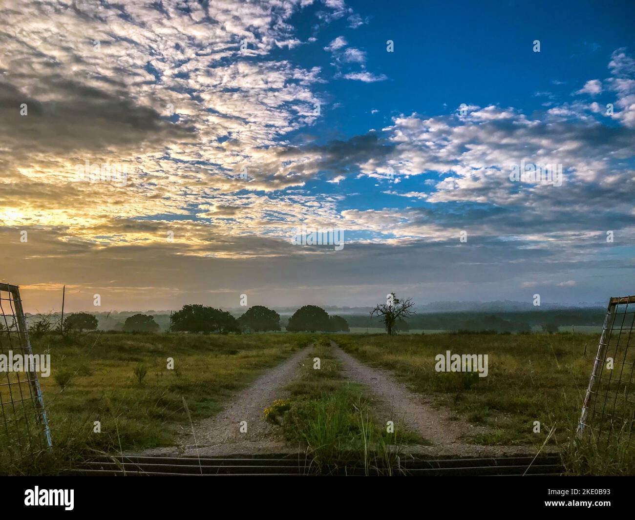 Field agriculture central texas hi-res stock photography and images - Alamy