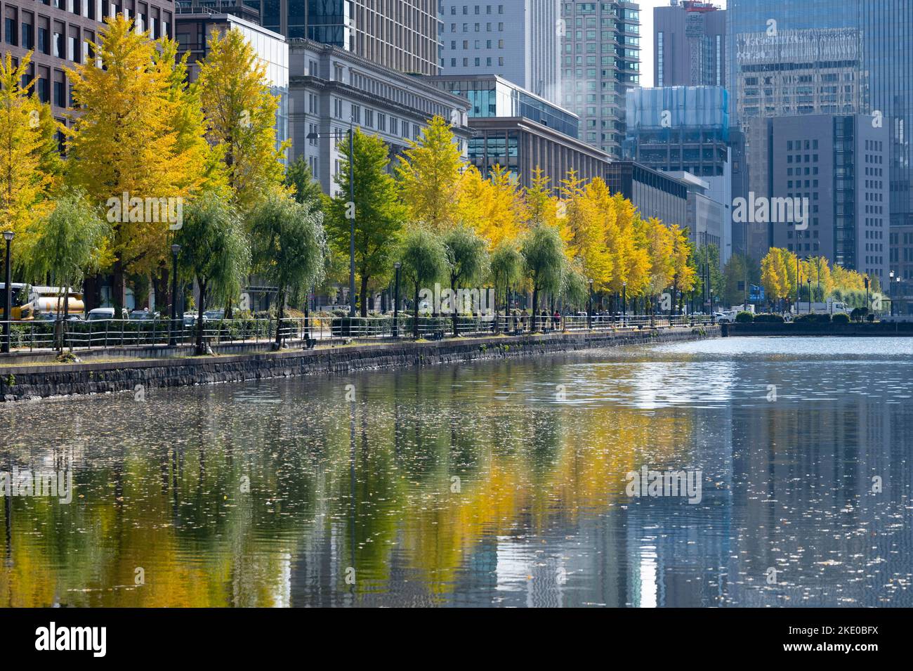 Tokyo, Japan. 9th Nov, 2022. Autumn scenes of Tokyoites enjoying the ...
