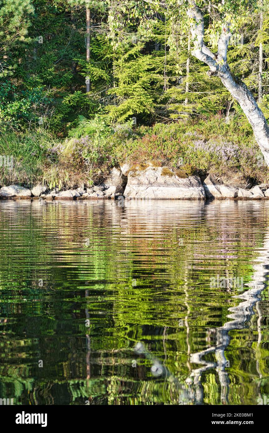 On the shore of a lake with rocks, trees and reflection in the water in ...