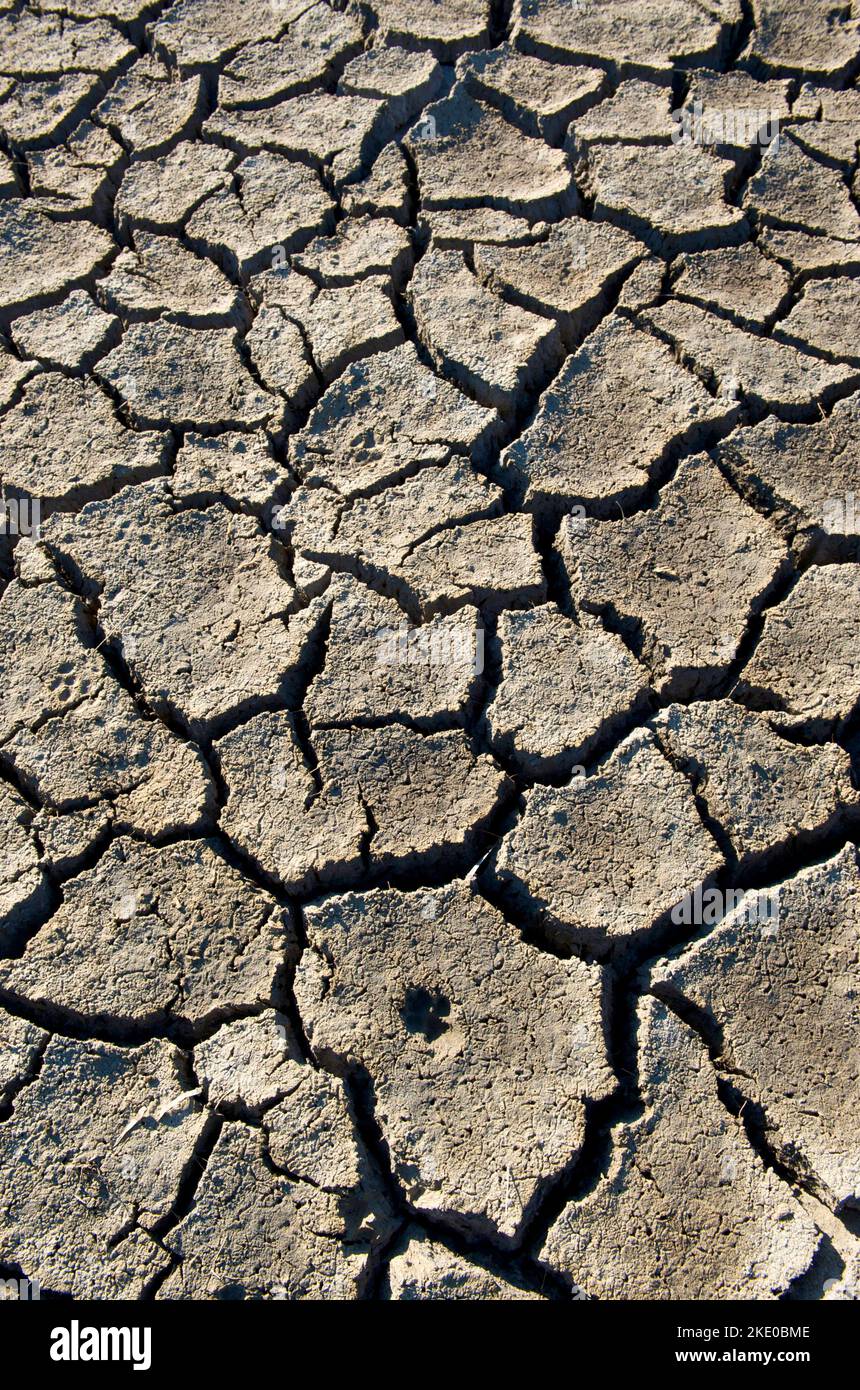 A vertical of dry soil in drought Stock Photo - Alamy